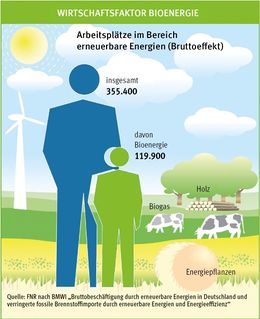 Nachwachsender Rohstoff – WISSEN-WIKI